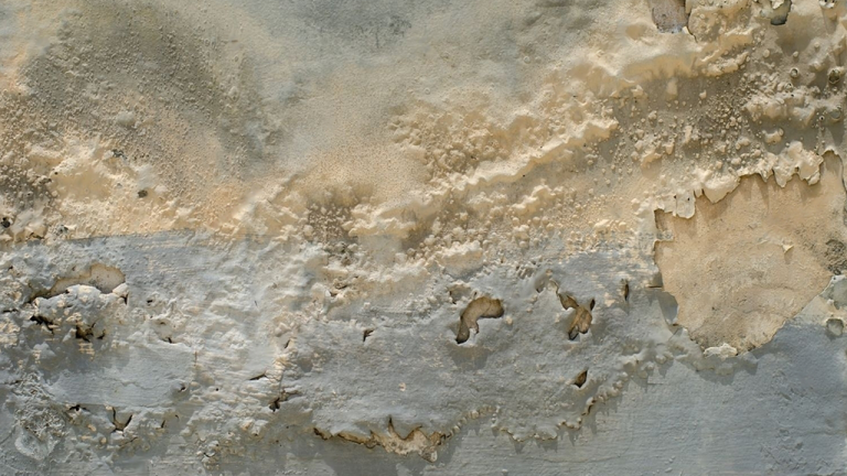 Langkah Atasi Tembok Lembab, Berkeringat dan Mengelupas. - Terraco ...